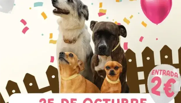 Top 5 Herramientas para Crear Apps de Realidad Aumentada | Estudio Alfa